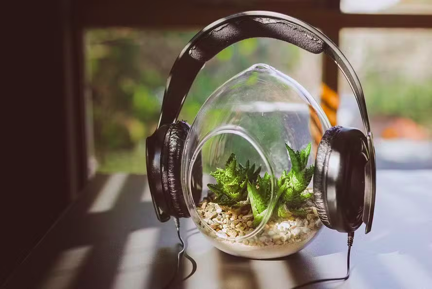 Garden Music The Cosy Garden